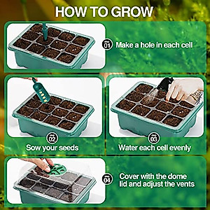 Suntee 12 Packs Seed Starter Tray, Seed Starter Kit with Humidity Dome and 144 Cells, Seedling Starting Trays Plant Starter Kit Reusable Mini Greenhouse Germination Kit for Seeds Growing (Green)
