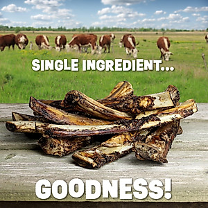 PUPDAWGS Single Ingredient Dog Bones - Made in USA – 8-10” Beef Rib Bones - Natural Dog Bones for Aggressive Chewers - from USDA Inspected Beef - Hickory Smoked - Individually Wrapped (8 Piece Pack)