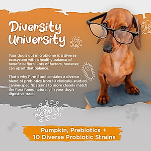 Vital Planet - Firm Stool – Dog Stool Hardener, Eliminates Diarrhea and Gas - Pumpkin, Probiotics and Prebiotics for Healthy Digestion, Fiber for Firmer Stools and Regularity - 111 Grams 30 Servings