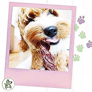 Nature Gnaws Beef Jerky Springs for Dogs - Premium Natural Beef Gullet Sticks - Simple Single Ingredient Tasty Dog Chew Treats - Rawhide Free - 7-8 Inch