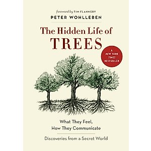 The Hidden Life of Trees: What They Feel, How They Communicate―Discoveries from A Secret World (The Mysteries of Nature, 1)