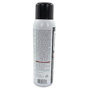 JT Eaton 217 Bed Bug Killer Plus, Non-Staining Water-Based Insect Spray for Indoors (17.5 oz)