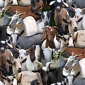 Cotton Farm Animals Goats Packed Allover Cotton Fabric Print by The Yard (434-black)