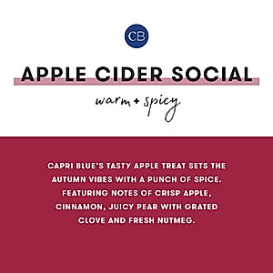 Capri Blue Holiday Mercury Jar Candle - Soy Candle Blend - Fall Candles for Home Scented with Apple, Cinnamon & Pear - Apple Candle for Fall Decor - Signature (Apple Cider Social, 19 oz)