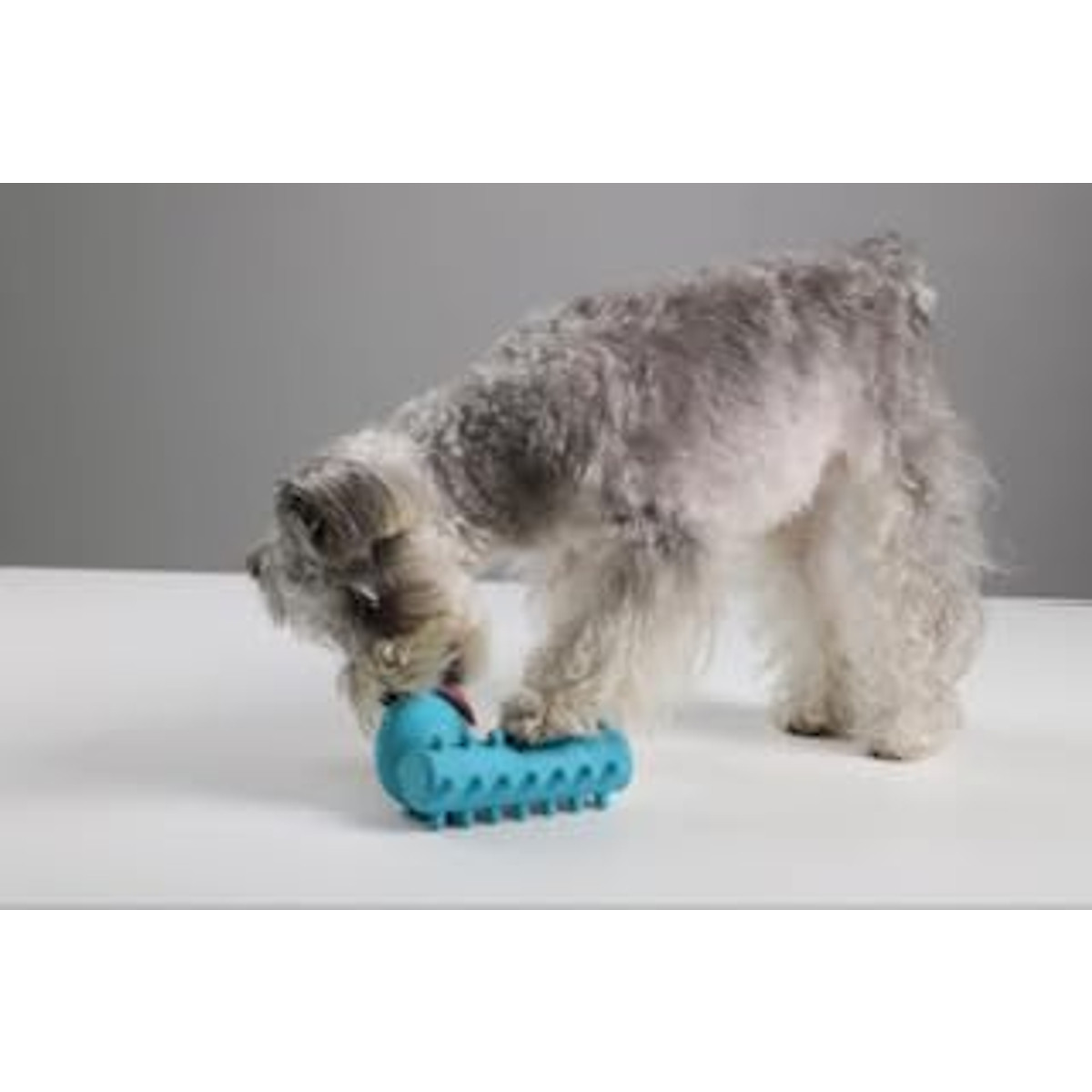 iPetz Dog ChewPod (Large/ExtraLarge)
