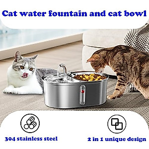 MewDgland Cat Water Fountain 3L/101oz Stainless Steel, 2 in 1 Cat Food Bowl and Pet Water Fountain for Cats Inside, Quiet Automatic Water Dispenser for Dogs and Cats