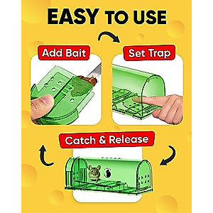 Motel Mouse Humane Mouse Traps No Kill Live Catch and Release 2 Pack - Reusable, Easy to Use & Clean, No Touch Release, Sensitive Includes Cleaning Brush, Instruction Manual & Video - Mousetrap Indoor