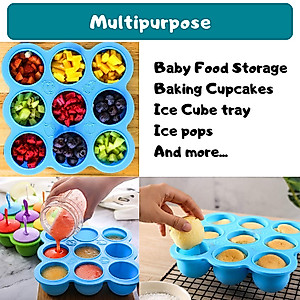 Silicone Baby Food Storage Container and Freezer Tray with Clip-On Lid, 100% Food-Grade, BPA Free (12 Cavities)