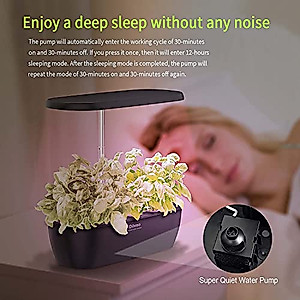 Diivoo Indoor Herb Garden, 12 Pods Hydroponics Growing System with Grow Light, Smart Garden Planter for Family Home Kitchen, Automatic Cycle Timer Germination Kit, Height Adjustable