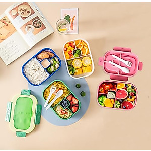 Cheardia 3 Pack Bento Lunch Box for Kid, 44 oz 4-Compartment Food Containers with Fork and Spoon BPA-Free Lunch Containers for Adults, Work, Microwave and Dishwasher Safe, Purple, Pink, Green