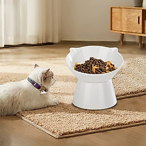 Detachable Elevated Cat Bowls, 15° Tilted Raised Cat Food Bowl Anti-Vomiting,Whisker Friendly, Adjustable Cat Dishes for Protecting Spine,Adult Kitten