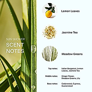 Skylar Sun Shower Eau de Parfum - Hypoallergenic & Clean Perfume for Women & Men, Vegan & Safe for Sensitive Skin - Woody Citrus Perfume with Notes of Lemon, Jasmine & Meadow Greens - 10mL /0.33 Fl oz