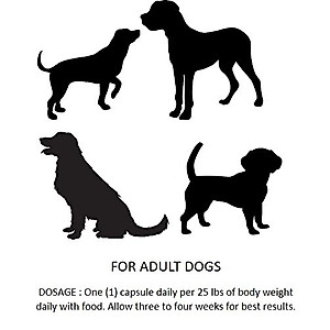 Essential Pet Probiotics with Direct-fed Microorganisms for Digestive Support in Dogs