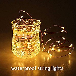 Outlet！ZAECANY LED String Lights 99ft 300 LEDs Fairy String Lights with Switch/Timer, Indoor/Outdoor Copper String Lights with Remote, for Birthday, Wedding, Christmas Decor,Plug in/8 Modes Warm White