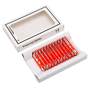 48pcs Kids Plastic Prepared Microscope Slides of Animals Insects Plants Flowers Sample Specimens for Microscopes