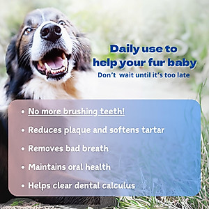 Love Can Fly Dog Teeth Cleaning Powder for Dog, Plaque, Tartar Remover for Oral Health, Eliminates Bad Breath, Natural Ingredients Fucoidan Brown Algae, Norwegian Kelp Persimmon Tannin (1.4 Oz)