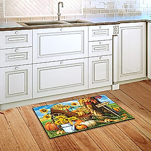 Briarwood Lane Pumpkin Cart Autumn Doormat Sunflowers Watering Can 30" x 18"