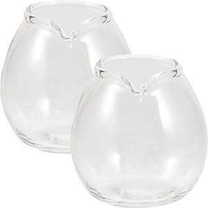 BESTOYARD 2 Pcs Mini Glass Milk Cup Mini Glass Milk Pitcher for Sauce Maple Syrup Pitcher Mini Glass Milk Pitcher for Coffee Espresso Shots Mini Kettle Tea Small Material Honey
