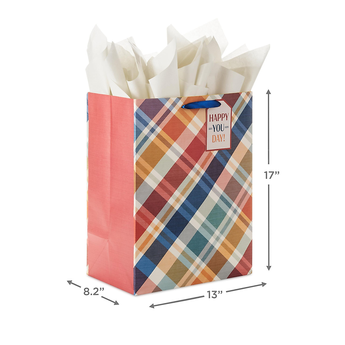 Hallmark 17" Extra Large Plaid Gift Bag with Tissue Paper and Gift Tag (Happy You Day) for Birthdays, Father's Day, Graduations