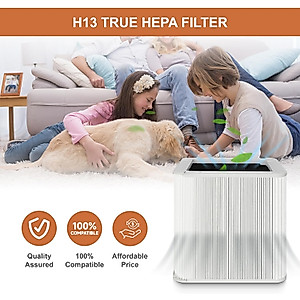 211+ Replacement Filter Compatible with Blueair Blue Pure 211+ Air Cleaner Purifier, H13 Hepa Foldable Filter and Activated Carbon Replacement Filter 2 Pack