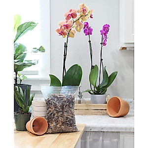 Premium Orchid Potting Mix with Long Fiber Sphagnum (2 Quarts), Fast Draining Healthy Media for Planting or Orchid Repotting