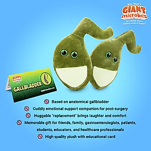 GIANTmicrobes Gallbladder Plush, Gallbladder Stuffed Animal, Gallbladder Surgery Gifts, Gallbladder Plush Toy, Gallbladder Removal Gift, Gastroenterology Gifts, Gastroenterologist Gifts, Get Well Gift