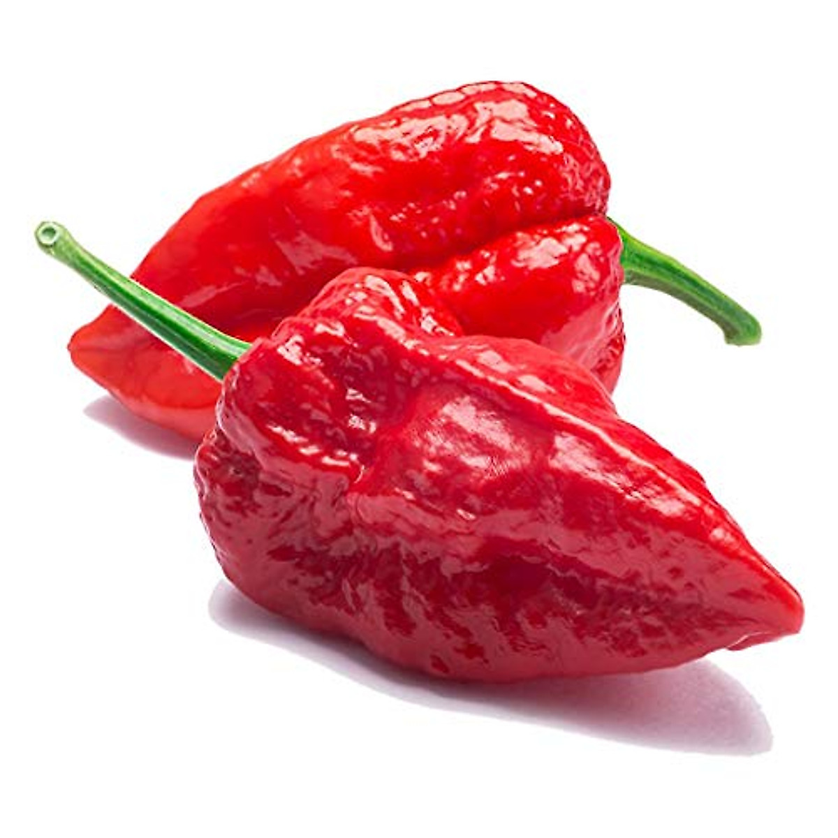 Spicy Gumball Candies (Ghost Pepper)