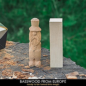 BeaverCraft BW18 pcs Basswood Carving Blocks Whittling Wood Carving Blocks Basswood for Carving Wood for Whittling Kit Wood Blocks for Carving Basswood for Wood Carving Set Wood Carving Wood