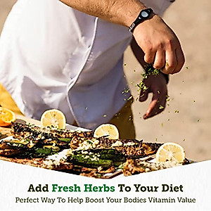 VegTrug 8 Pocket Herb Garden Grey Wash