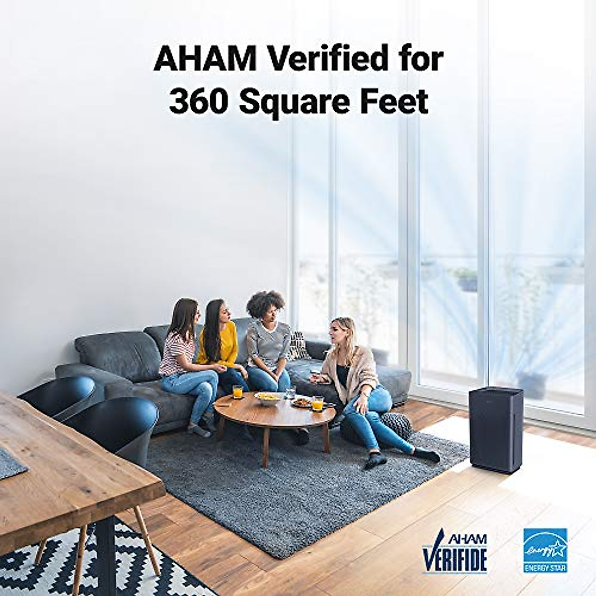 Winix AM80 True HEPA Air Purifier with Washable Advanced Odor Control (AOC) Carbon Filter, 360sq ft Room Capacity, Dark Grey, Large