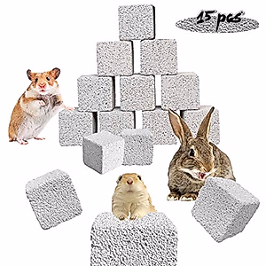 PINVNBY 15 Pcs Rabbits Lava Blocks Bunny Teeth Grinding Stone Small Animal Mineral Calcium Stone Chews Toy for Hamsters,Chinchillas and Parrot