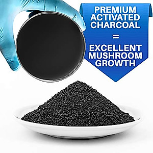Malt Extract Agar Plates with Activated Charcoal - Evviva Sciences - Improved - Prepoured Charcoal MEA Petri Dishes - Excellent Growth Medium - Great for Mushrooms & Science Projects