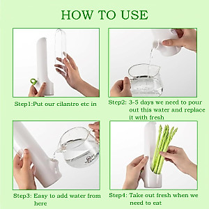 Herb Saver for Refrigerator, Fresh Herb Keeper, Herb Saver Pod Containers, Herb Fresh Keeper for Refrigerator,Herb Storage for Cilantro,Parsley, Asparagus,Keeps Vegetables Fresh for 2-3 Week