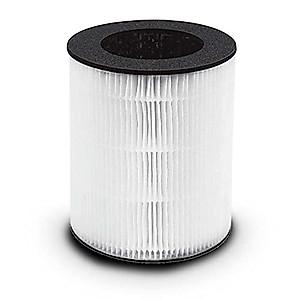 HoMedics TotalClean 3-in-1 HEPA-Type Filter Replacement for Air Purifiers, Works with HoMedics AP-T20 and AP-T20WT Air Purifiers, Removes up to 99% Airborne Particles as Small As 0.3 Microns