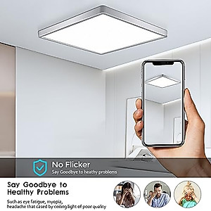 12inch 24W LED Flush Mount Ceiling Light, 5000K Daylight White LED Ceiling Light, 3200LM Flat Square LED Ceiling Lamp for Bedroom, Kitchen, Living Room, Silver