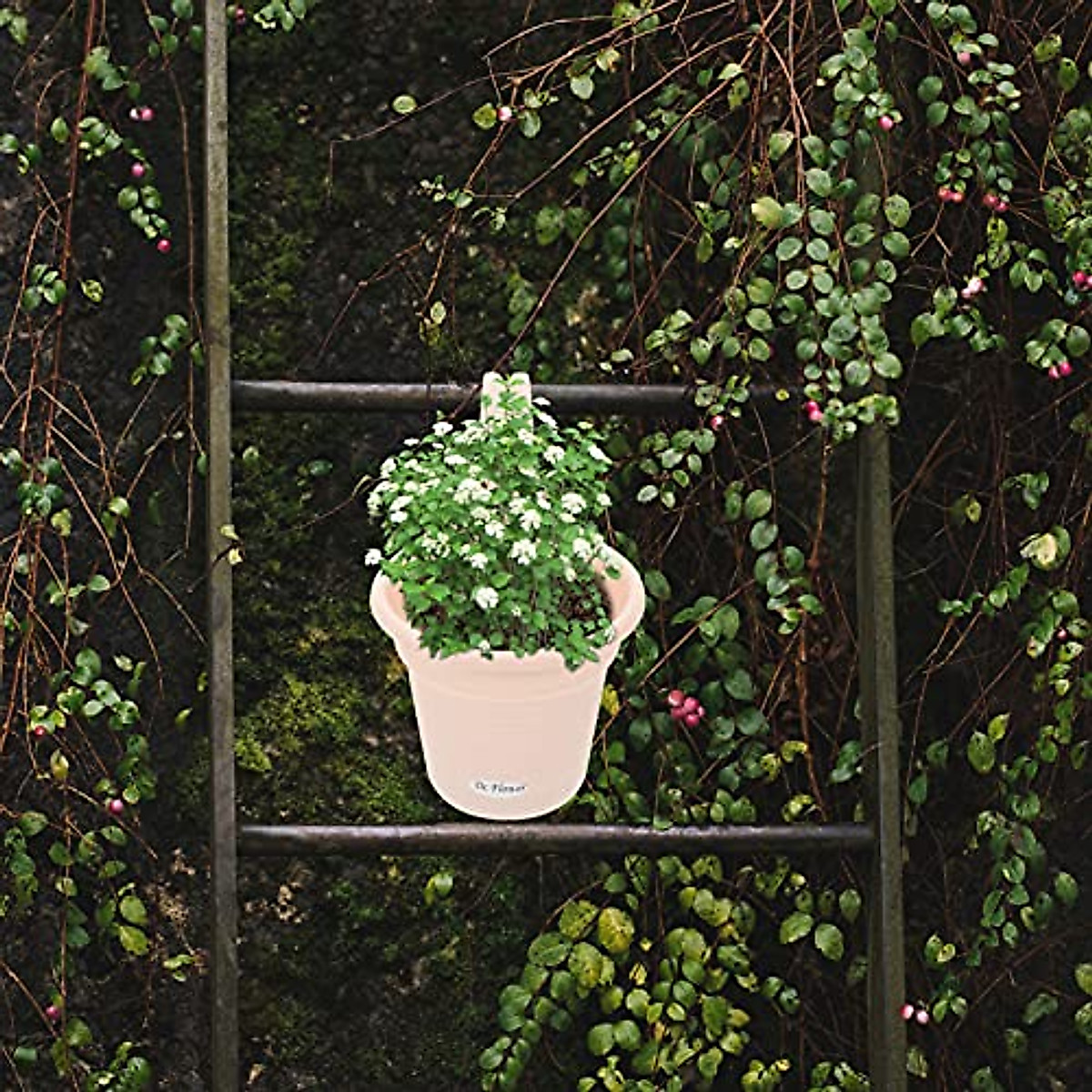 Happyyami Single Hook Hanging Basin pots for Outdoor pots for Indoor Plants Hanging Plant Holders Railing Planter Hanging Baskets for Plants Outdoor Fence Hanging Rail pp Resin Flowers