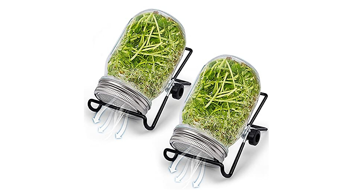 Home Seed Sprouting Kit | Grow Fresh Broccoli, Alfalfa & More