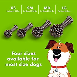 Chewsday Small Daily Dental Dog Chews, Minty Fresh and Cinnamon Clean, Made in The USA, Natural Highly-Digestible Oral Health Treats for Healthy Gums and Teeth