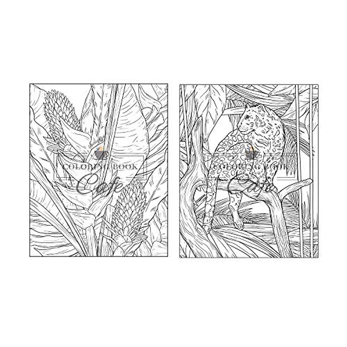 100 Wildlife Scenes: An Adult Coloring Book Featuring 100 Most Beautiful Wildlife Scenes with Animals, Birds and Flowers from Oceans, Jungles, Forests and Savannas