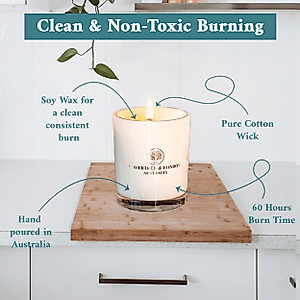 Wavertree & London Organic Beach Scent Soy Wax Candle | Non Toxic 100% Cotton Wick Triple Scented Pure Natural Soy Wax Candles, Hand Poured in Australia | 60 Hours Burning Time, 11.66 Oz