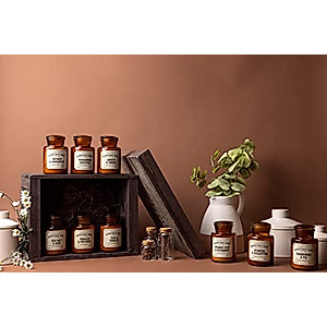 Paddywax Apothecary Artisan Hand-Poured Scented Candle, 8-Ounce, Amber & Smoke