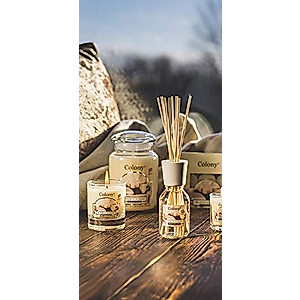 Wax Lyrical - Colony Collection - Vanilla Scented Classic Glass Jar Candles (Burns Up to 80 Hours) - Made in England