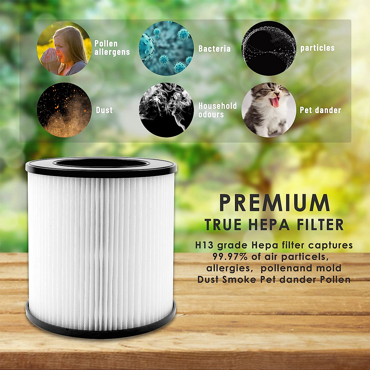 B-D02L H13 True HEPA Replacement Filter Compatible with MOOKA and KOIOS