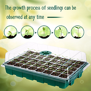 Hoolerry Seed Starter Tray 40 Cells Seed Starter Kit with Humidity Dome and Base Propagation Tray Plant Germination Trays Greenhouse Mini Propagator Station for Seeds Growing (Green,20 Pcs)