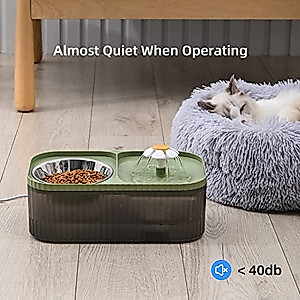 JEERAMIA Cat Water Fountain and Food Bowl, 3L/101oz Ultra Quiet Pet Water Dispenser with Smart Pump and 3 Replacement Filters, Automatic Flower Fountain & Stainless Steel Bowl (Black & Green)