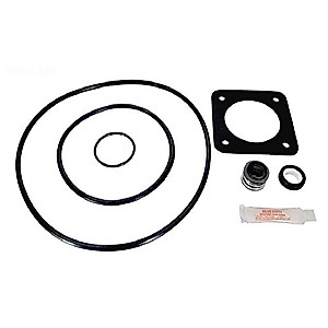 Century Electric USQ1072 3/4-Horsepower Up-Rated Square Flange Replacement Motor (Formerly A.O. Smith)