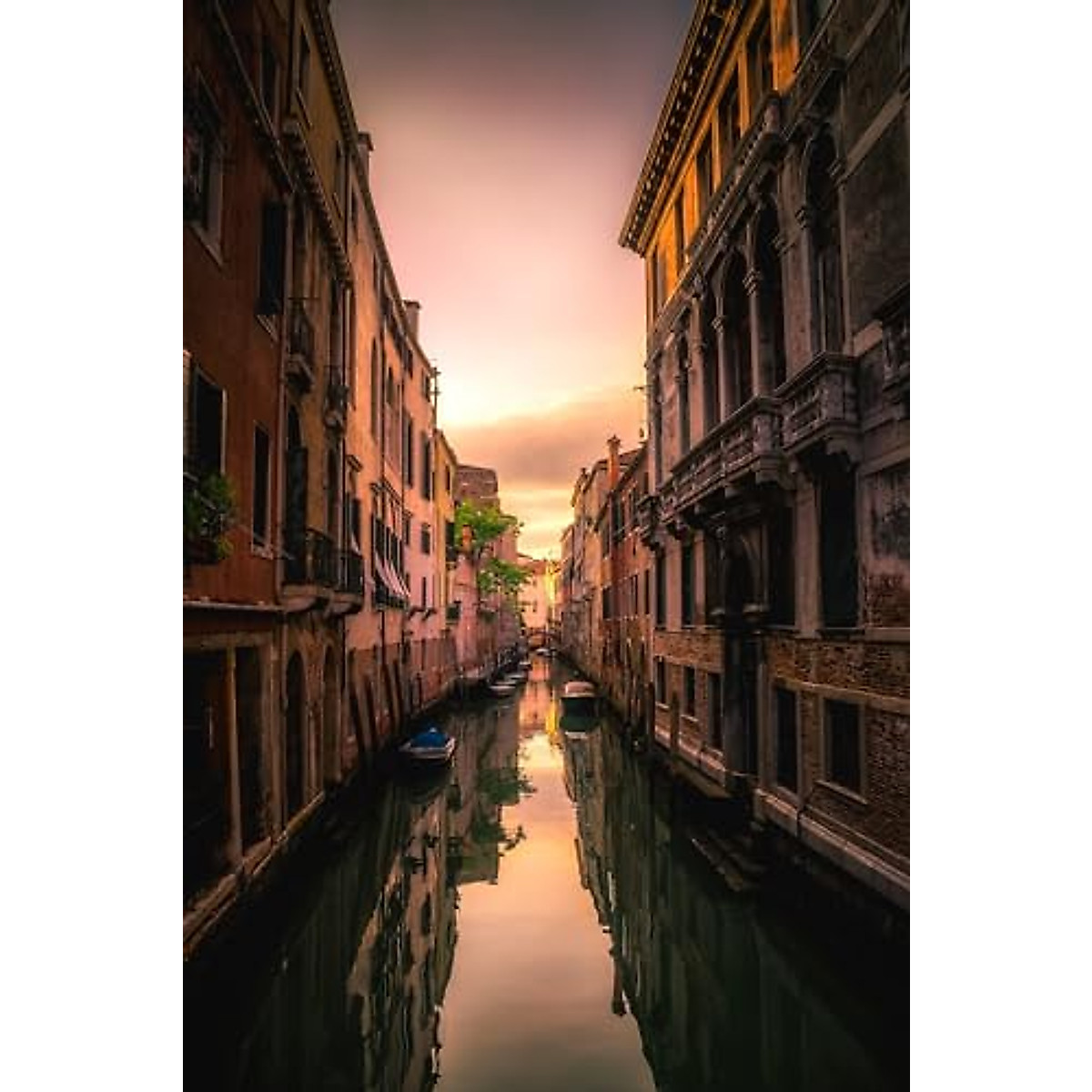 5-Star Compatible Replacement.Work with Inkjet Printers