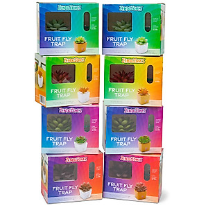 ZendoZones Fruit Fly Traps with Zendo Lure, 2-Pack Mellow Molly & Serene Sandy with Plastic White Base, Refillable and Reusable