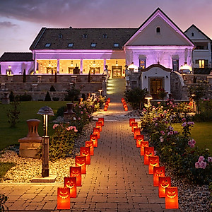 20 Pieces Halloween Luminary Candle Bags Flame Resistant Candle Bags in 5 Kinds of Pumpkin Grimace Patterns for Halloween Party Supplies