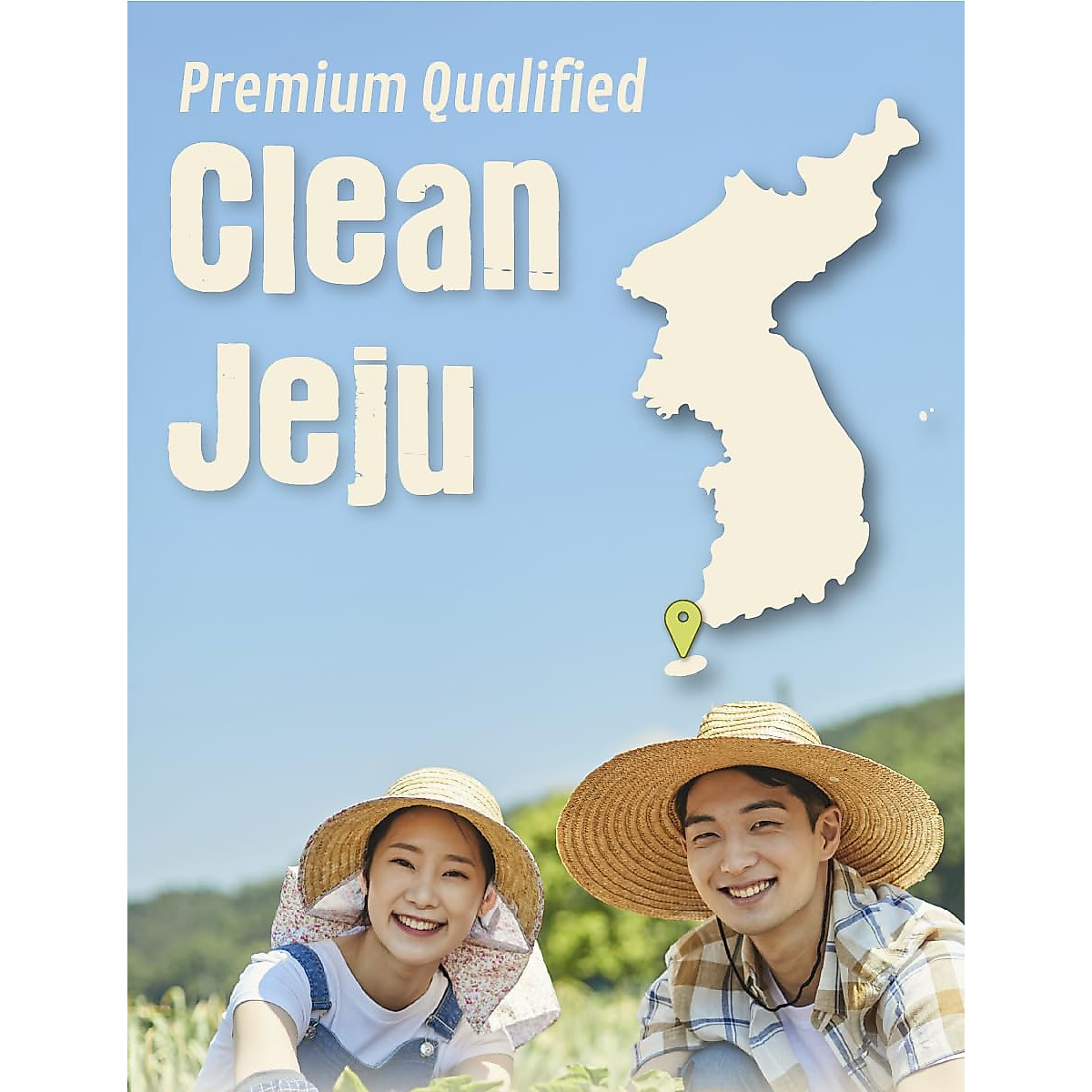 Korean Premium Dried & Sliced Daikon Radish 6 Ounce from Jeju Island, Korea 170 gram for Kimchi and Tea